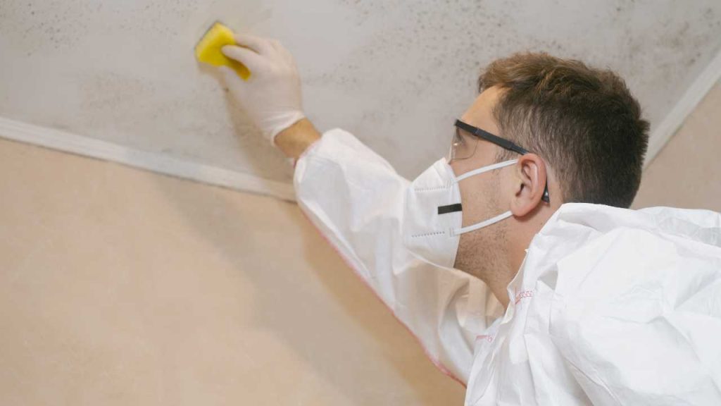 Common Mistakes Homeowners Make When Trying To Remove Mould